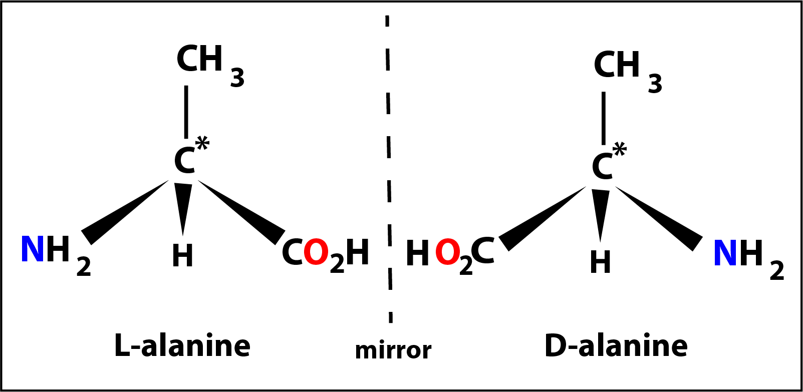 L And D Enantiomers Amino Acids at Alan Matheny blog